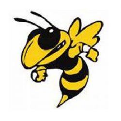 Gatesville logo – Big Country Preps